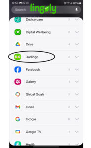 How To Get Duolingo Widget On Android (January 2026) » Lingoly.io