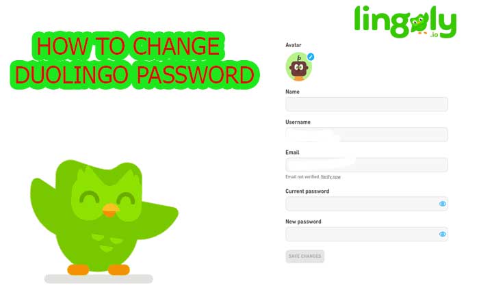 Duolingo Login: How to Log Into Duolingo (October 2025) » Lingoly.io