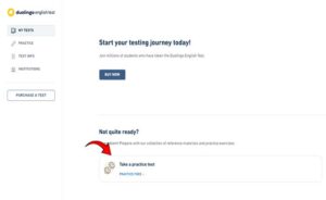 How to Take Placement Test On Duolingo (October 2025) » Lingoly.io