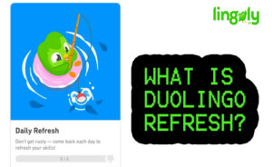How to Fix Duolingo App Stuck on Daily Refresh (May 2025) » Lingoly.io