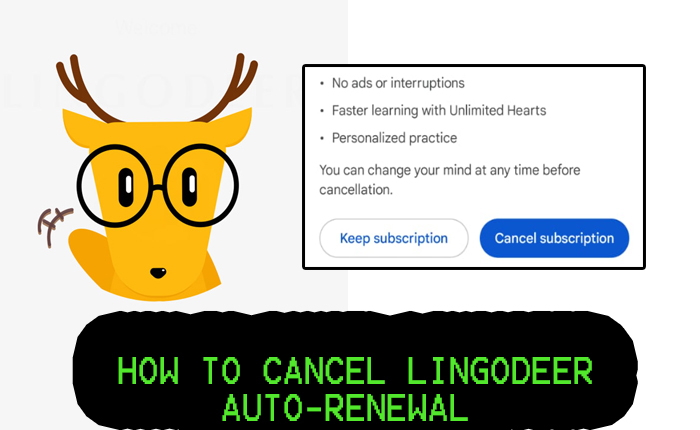Lingodeer » Lingoly.io